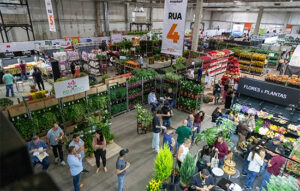 Veiling Market 2026 antecipa tendências de flores e plantas - Portal Radar